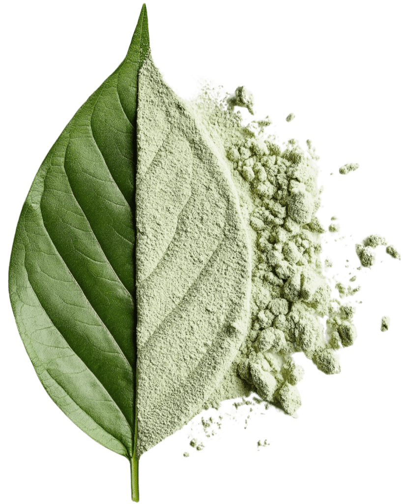 Nutraceutical Ingredients – Nutraceuticals | Verdant Nature